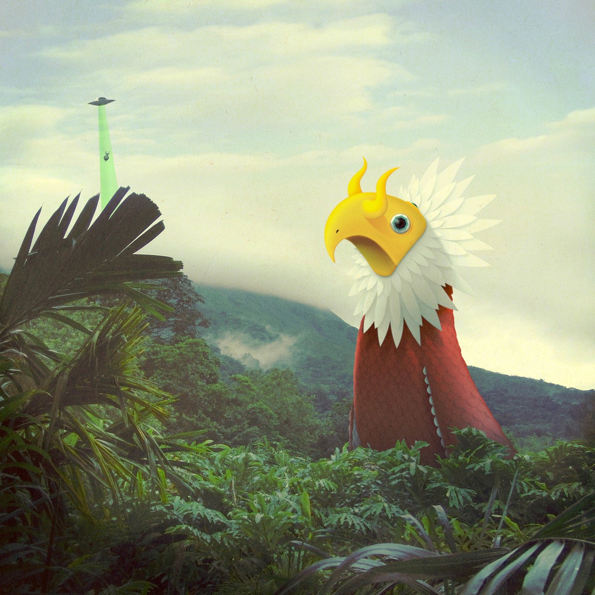 Portfolio work from illustrator - New Touch Industries